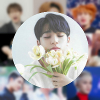 2048 Mingyu's hair color