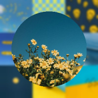 2048 Blue and Yellow