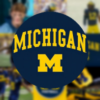 2048 Michigan Players