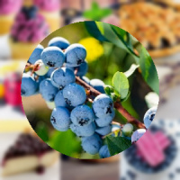 2048 Blueberry Flavored Things