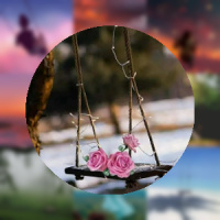 2048 Swing Aesthetics